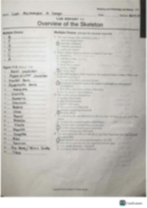 SOLUTION Anatomy And Physiology Overview Of The Skeleton Lab Report Studypool