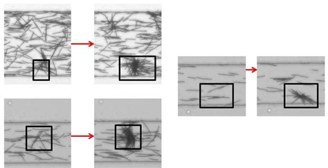 Three Cases Of Fiber Clustering The First Picture Is Taken Before The Download Scientific
