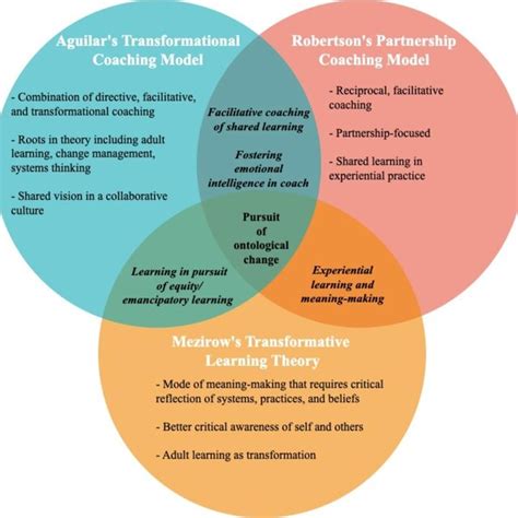 Conceptual Framework For Equity Oriented Continuous Improvement For Download Scientific Diagram