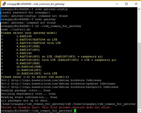 Rvice Does Not Exist Raspberry Pi Gateways The Things Network