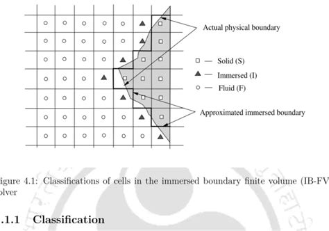 finite volume immersed boundary solvers for compressible flows