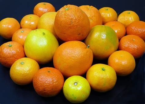 ЕК провежда допитване за правилата за устойчива употреба на пестициди Български Фермер