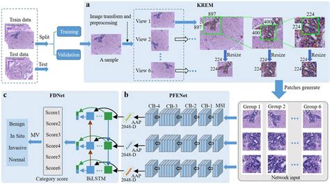Diagram Of Breast Cancer Pathological Image Classification Using Download Scientific Diagram