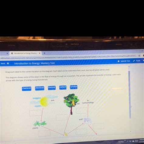 Drag Each Label To The Correct Location On The Diagram Each Label Can Be Used More Than Once
