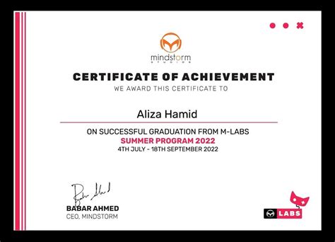 Aliza Hamid On Linkedin Experience Learning Gamedevelopment