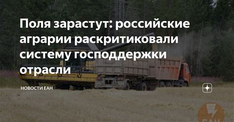 Поля зарастут российские аграрии раскритиковали систему господдержки отрасли Новости ЕАН Дзен