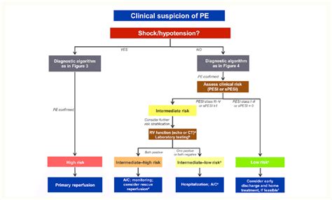 American Anticoagulation Guidelines At Alfredo Grove Blog
