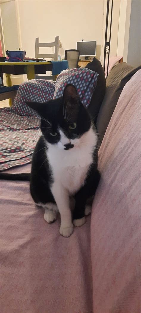 Φινκλιν Finklin5 Twitter