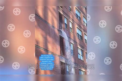 30个拍到令人瞠目结舌一幕不是亲眼所见你不敢相信发生了什么 什么