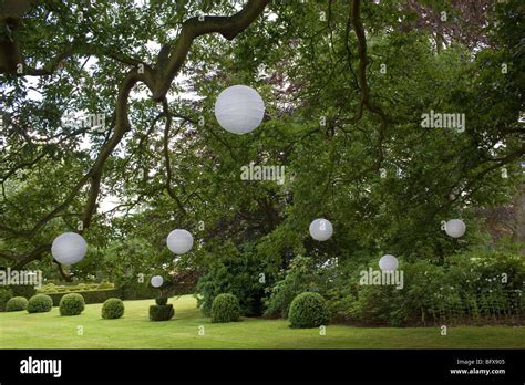 Lanterns Hang From Trees In An English Garden Stock Photo Alamy