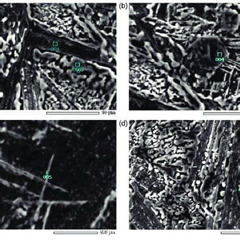 tcp phases in the microstructure of a c h 200 h and d h 1000 h