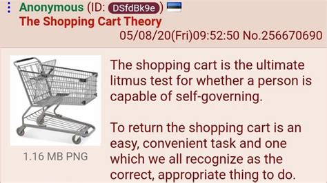 The Shopping Cart Theory Video Gallery Know Your Meme
