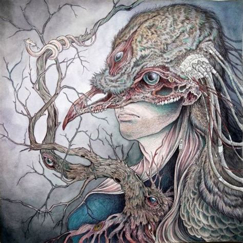 Antblog Caitlin Hackett