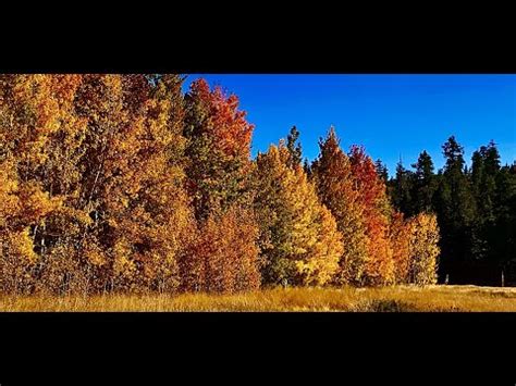 Big Bear Lake Fall Colors In Los Angeles 2026 Roveme