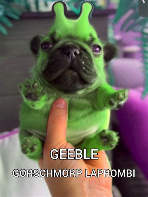 Geeble R Geeble Irl