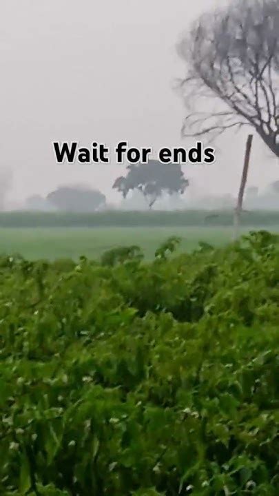 Kheti Kyu Chhodu Meadm Newsong Trending Love Shortviralvideo Youtube