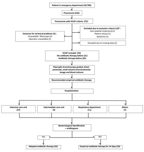 Flow Chart A Hcap Criteria Hospitalized For Two Or More Days In An Flow Chart A Hcap Criteria Hospitalized For Two Or More Days In An