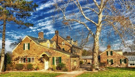 Tree Trimming Service Scam Detector