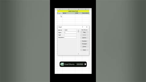 Data Entry Form In Excel Excel Exceltutorial Exceltips Dataentry Shorts Youtube