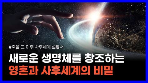 고차원의 영혼들이 전한 사후세계와 환생의 비밀｜죽음 그 이후 사후세계 설명서 Youtube