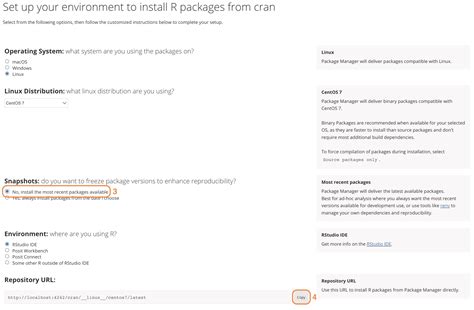 obtaining a repository url posit package manager documentation