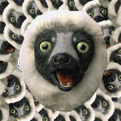 Zoboomafoo Theme Unexpectedcena