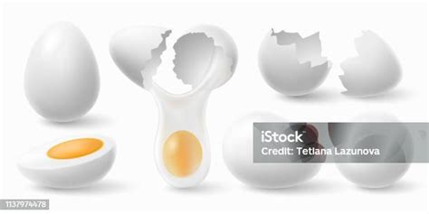 닭고기 달걀 흰색 부활절 달걀 깨진 달걀 껍질과 삶은 계란 3d 현실적인 벡터 일러스트 레이 션 세트 깨짐에 대한 스톡 벡터 아트 및 기타 이미지 Istock