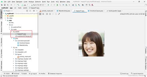 学习记录——pytorch模型移植android小例子pytorch Lite Csdn博客