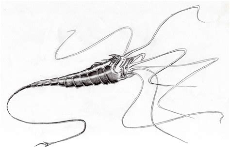 Matrix Bug By FrazMoJazz On DeviantArt Matrix Bug Art Bugs