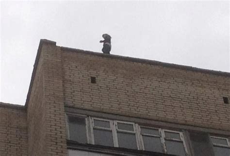 Новые подробности страшного суицида в Баку ФОТО ОБНОВЛЕНО Oxu Az