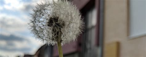 Asynchronous Programming With Kotlin And Coroutines — Lesson 2 Suspension Points