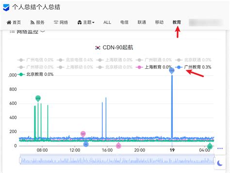 哪吒探针自定义代码：网络监控快速切换 Ssvip博客