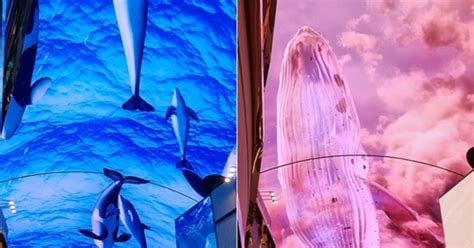 Tour List 고래가 있는 풍경파란바다 고래 만나는 길