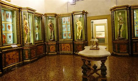 Musei Palazzo Poggi Bologna Food Explore The Best Museums In Bologna