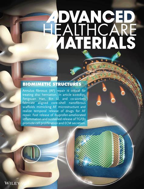 Multifunctional Nanofibrous Scaffolds With Angle‐ply Microstructure And Co‐delivery Capacity
