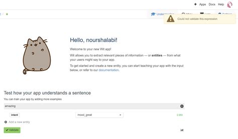 could not validate expression · issue 1040 · wit ai wit · github