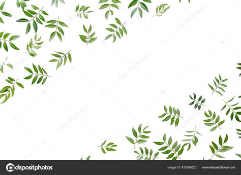 Frame Workspace With Green Leaves Isolated On White Background Lay