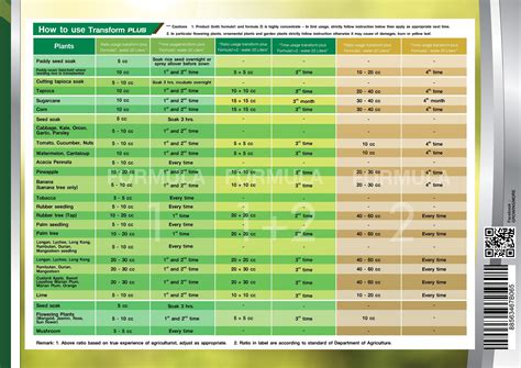Successmore Transform Plus
