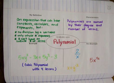 Naming Polynomials Graphic Organizer Math Love
