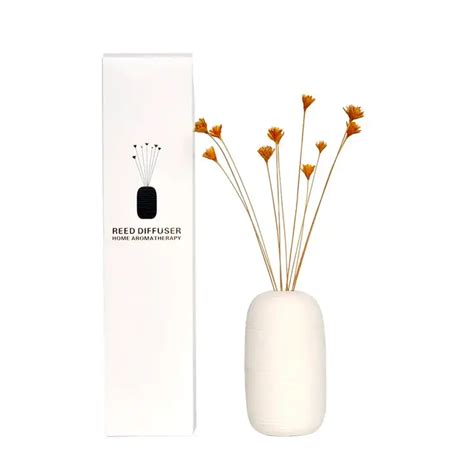 Importing Ceramic Reed Diffuser From China