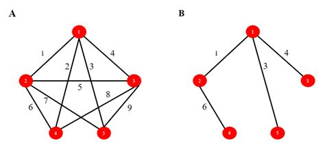 vector representation of trees a example graph with 5 nodes and 9
