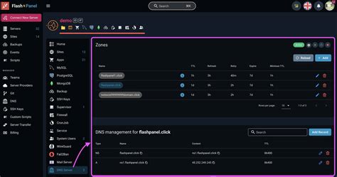 Flashpanel 🌐 New Feature Dns Server Management Is Here You Can Now Transform Your Vps Into A