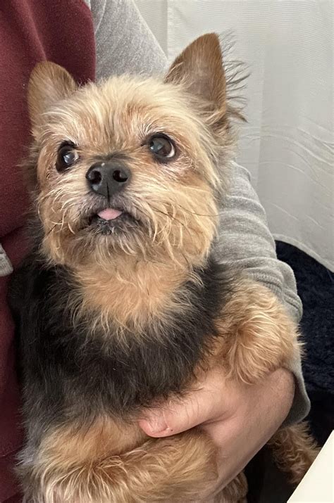 Tiny Curls R Curledfeetsies