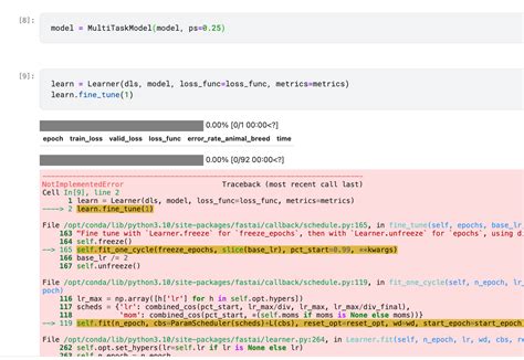 Multi Output Classifier Part 1 2022 Fastai Course Forums