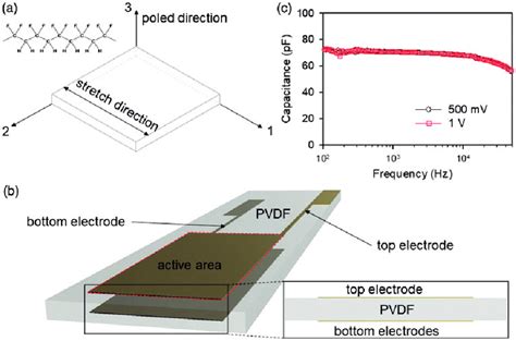 A Molecular Structure Of B Phase Pvdf And A Schematic Depiction Of Download Scientific