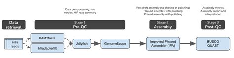 A New Best Practice Workflow For Easy And Efficient Genome Assembly — Australian Biocommons