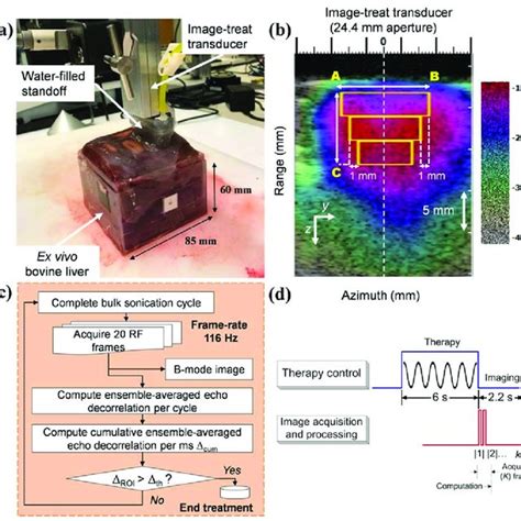 14 Comparison Of Echo Decorrelation Predicted Vs Measured Ablation Download Scientific