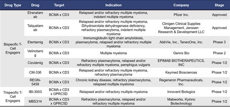 Research Progress On Bcma Targeted Therapies In Multiple Myeloma Dima