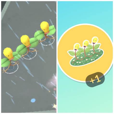 My Wife Found And Noticed Something During Bellsprout Community Day R Pokemongo