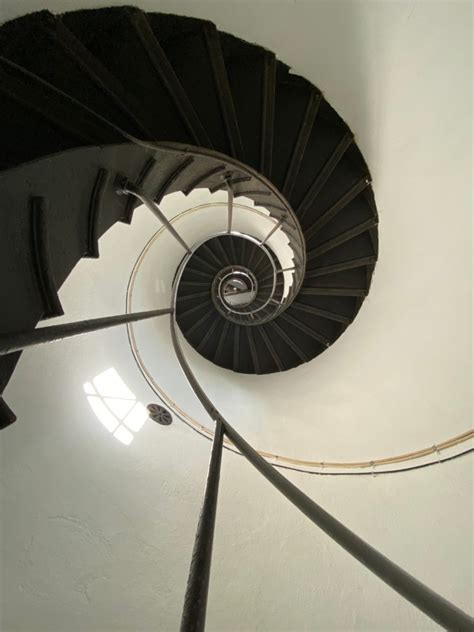 Ambassadors Answer Christian Cederroth Nature Observation